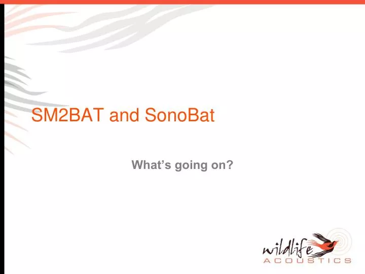 PPT - SM2BAT and SonoBat PowerPoint Presentation, free download - ID ...