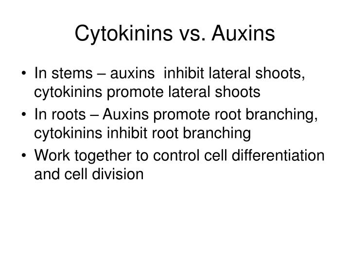 PPT - Plant Hormones PowerPoint Presentation - ID:7082522
