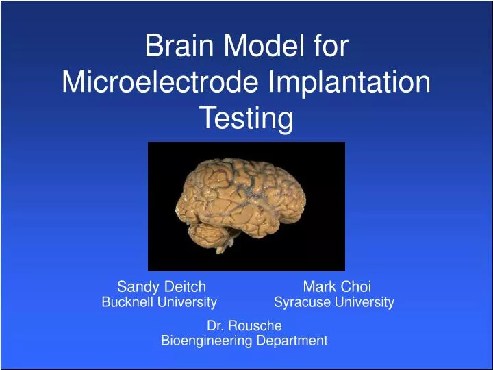 PPT - Brain Model for Microelectrode Implantation Testing PowerPoint ...