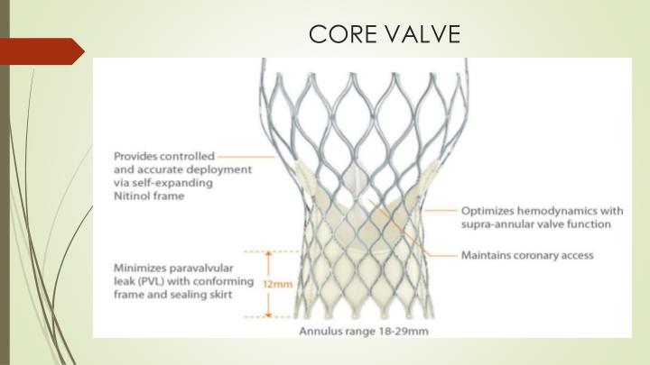 PPT - Aortic Stenosis and TAVR PowerPoint Presentation - ID:7083426