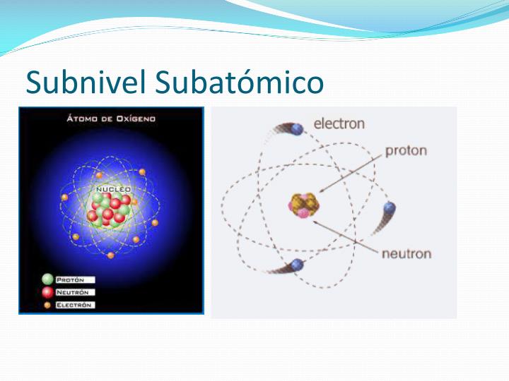 PPT - Niveles de organización de los seres vivos PowerPoint ...