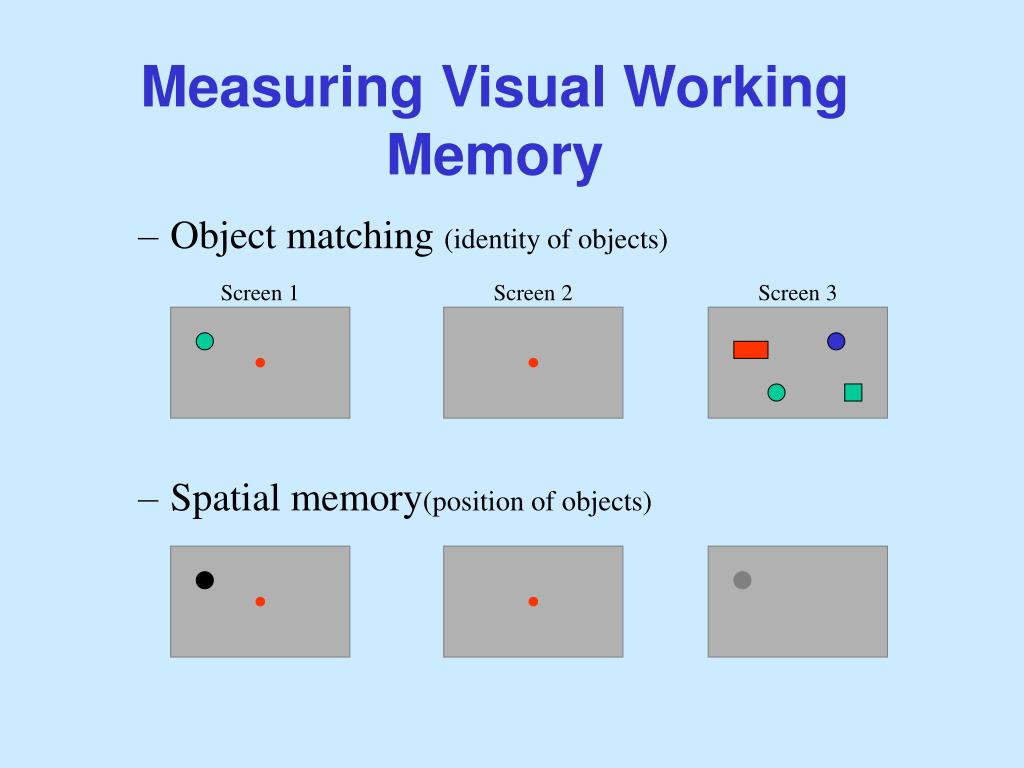 PPT Visual Working Memory PowerPoint Presentation Free Download ID