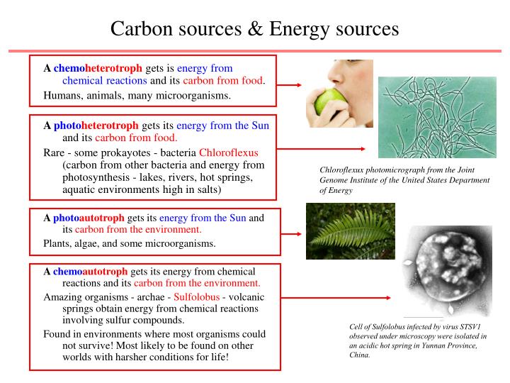 PPT - Phys 214. Planets and Life PowerPoint Presentation - ID:7085804