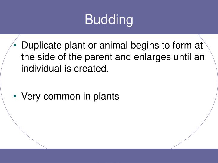 PPT - Types of Reproduction PowerPoint Presentation - ID:7087221