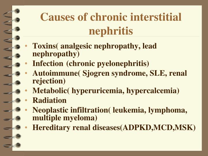 PPT - Tubulointristitial Nephritis PowerPoint Presentation - ID:7087943
