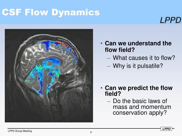 PPT - Measurements and Computational Modeling of Cerebrospinal Fluid ...