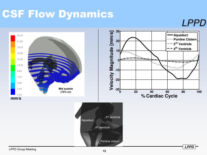 PPT - Measurements and Computational Modeling of Cerebrospinal Fluid ...