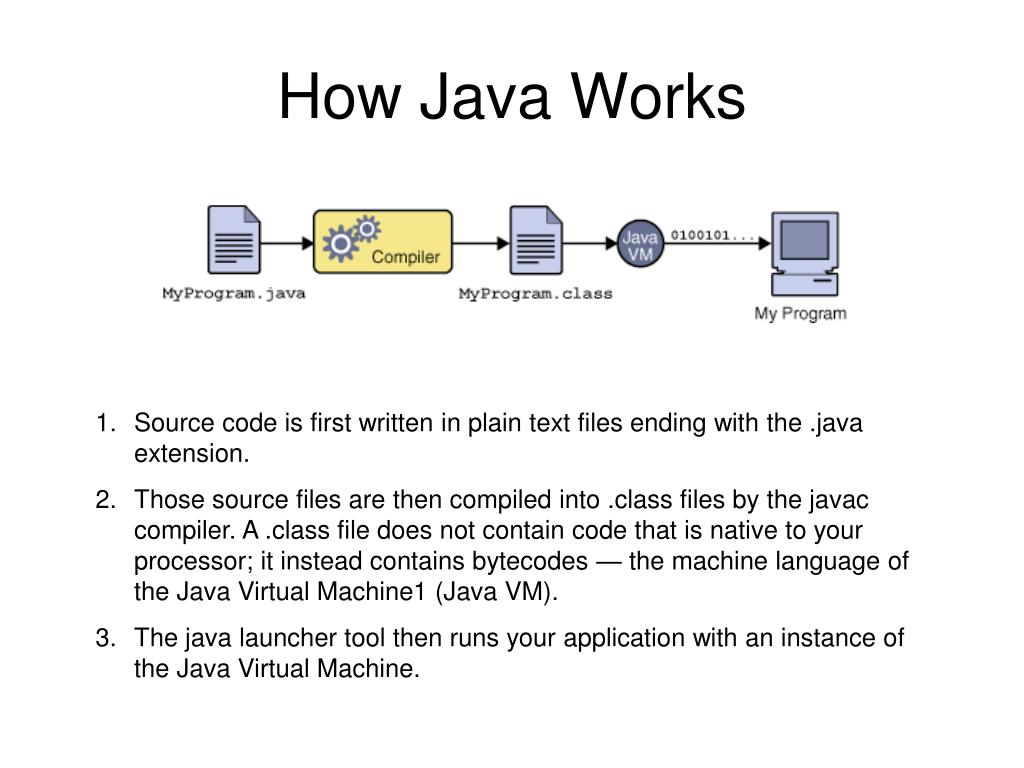 Ppt Csci 273001 Processing Csci 201003 Introduction To Algorithm Design An Introduction