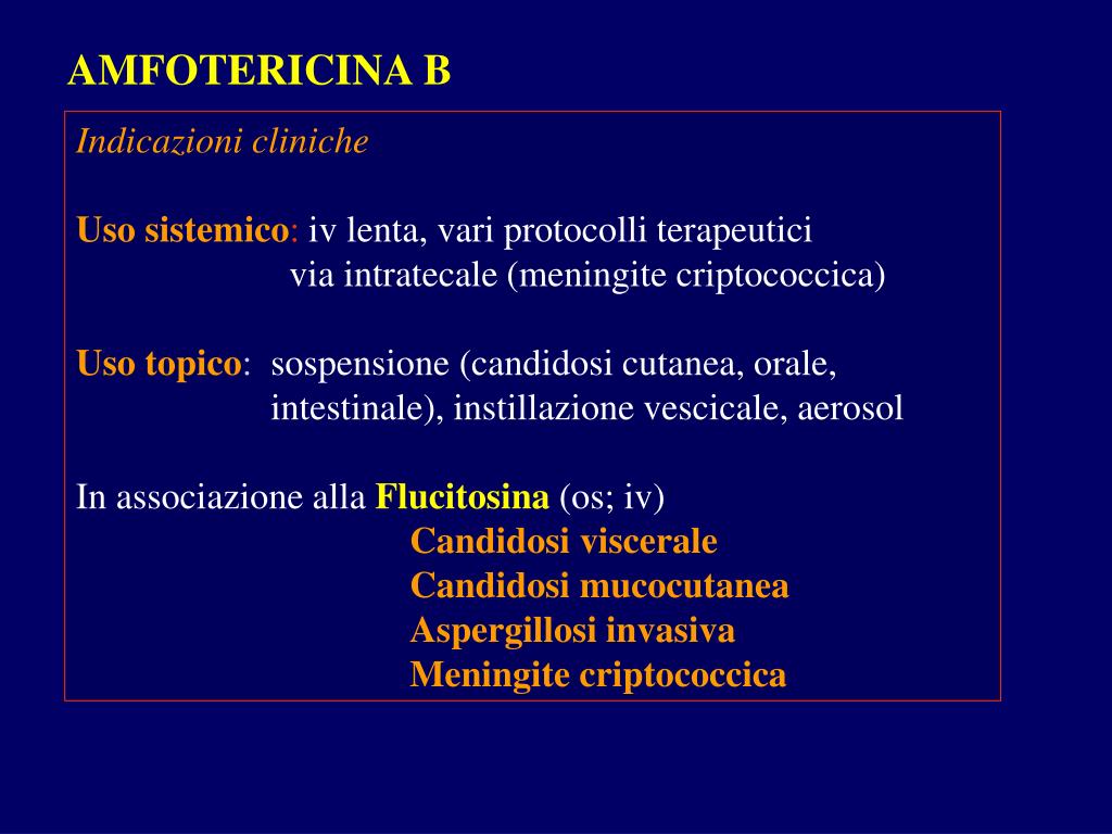 PPT - Farmaci antifungini PowerPoint Presentation, free download - ID ...