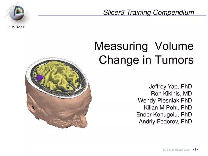 PPT - Measuring Volume Change in Tumors PowerPoint Presentation, free ...