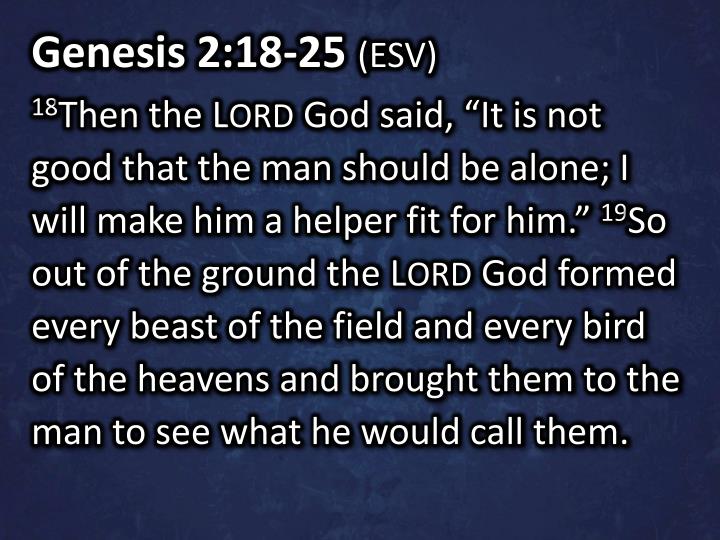 PPT - Genesis 2:18-25 (ESV) PowerPoint Presentation - ID:7096747