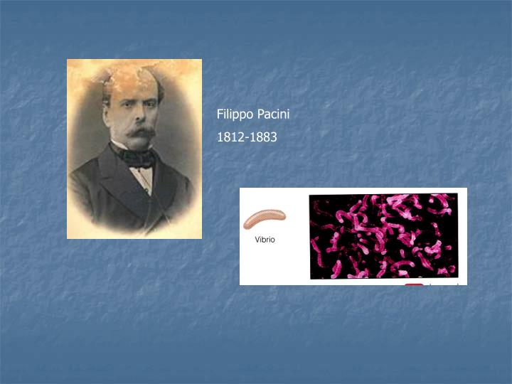 PPT - Petite histoire des grandes épidémies PowerPoint Presentation ...