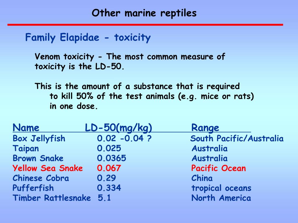 PPT - Sub class Actinopterygii The ray-finned fishes PowerPoint ...