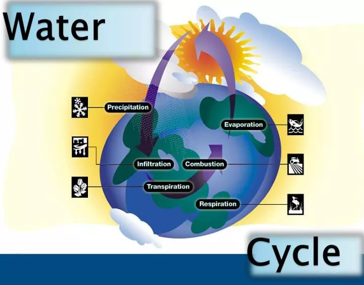 PPT - Water PowerPoint Presentation, free download - ID:7098658
