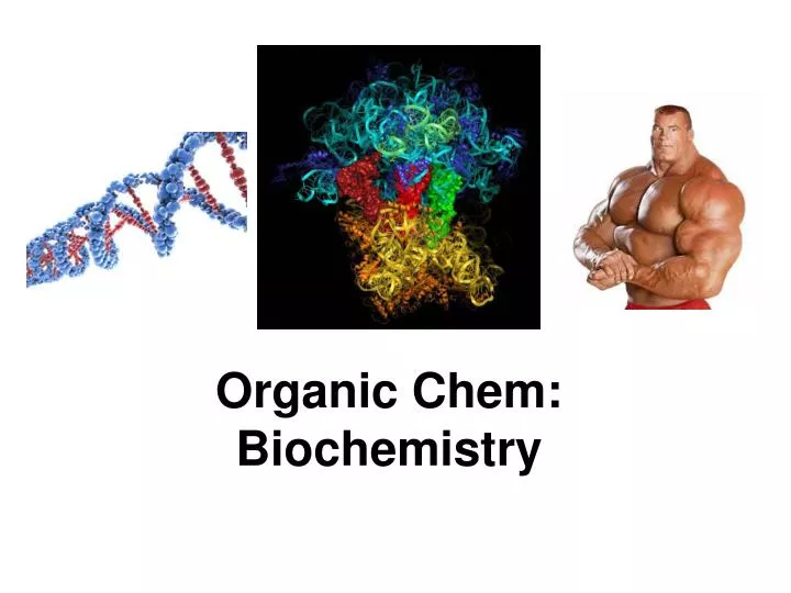 PPT - Organic Chem : Biochemistry PowerPoint Presentation, free ...