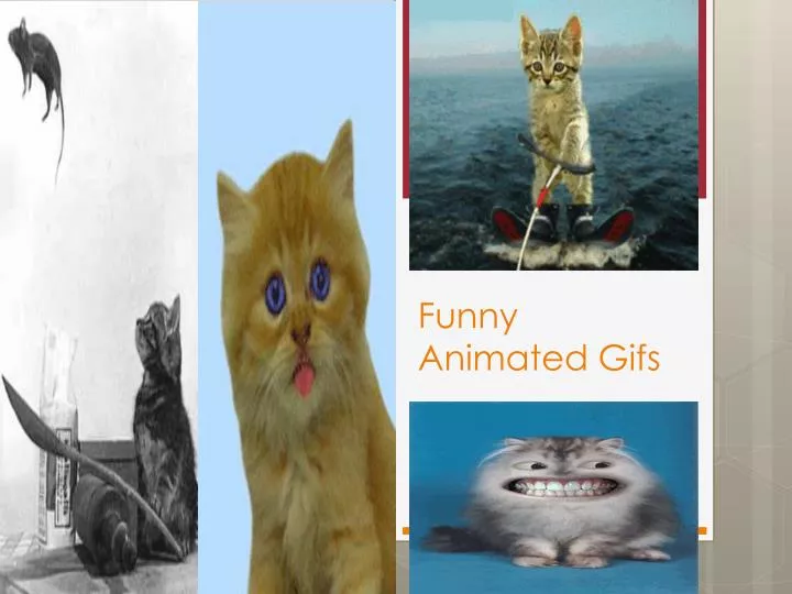 PPT - Funny Animated Gifs PowerPoint Presentation, free download - ID ...