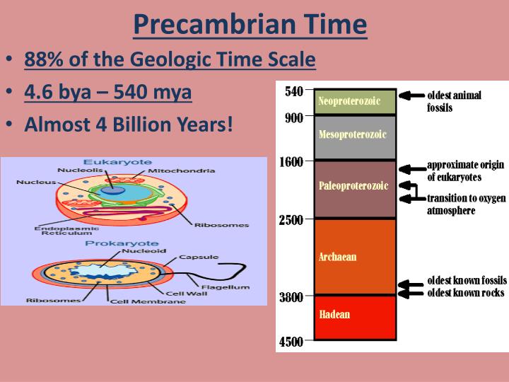 PPT - The Geologic Time Scale PowerPoint Presentation - ID:7105695