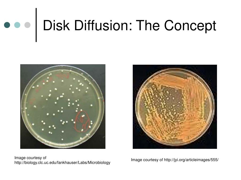 PPT - Antibiotic Resistant Escherichia Coli in Non-Tidal Wetlands of ...