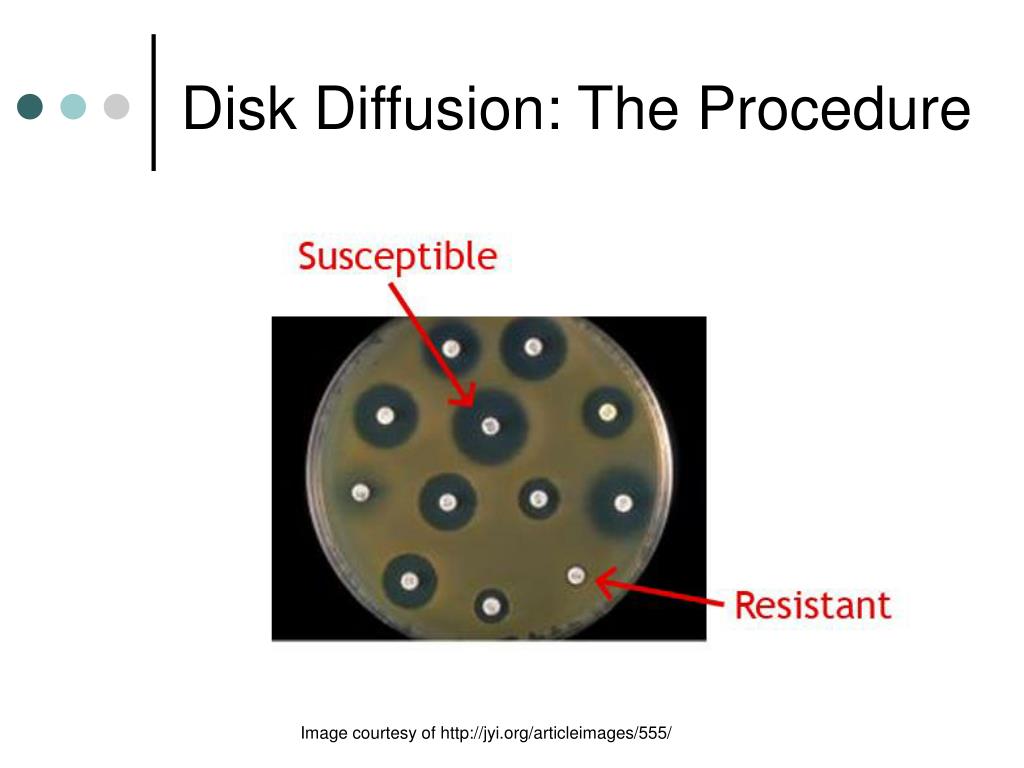 PPT - Antibiotic Resistant Escherichia Coli in Non-Tidal Wetlands of ...
