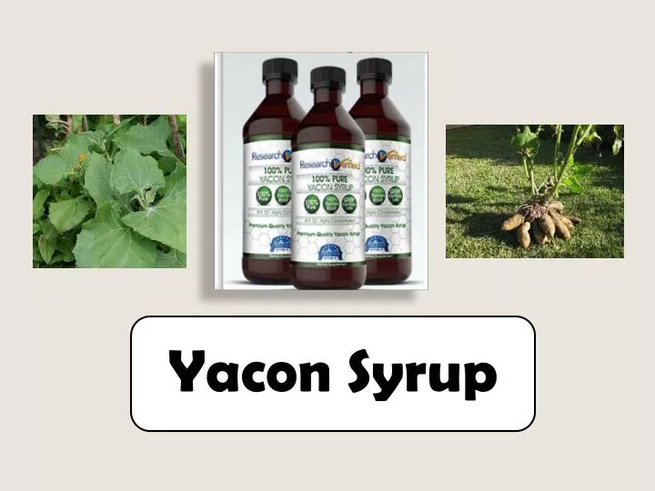 PPT - Yacon Syrup Overview PowerPoint Presentation, free download - ID ...
