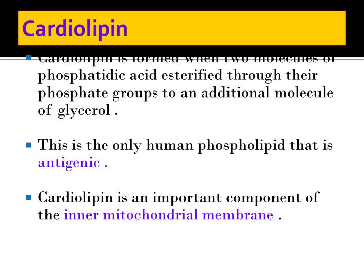 PPT - PHOSPHOLIPIDS PowerPoint Presentation - ID:7121317