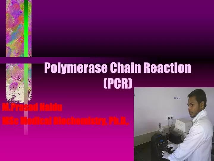 PPT - PCR PowerPoint Presentation, free download - ID:7121320