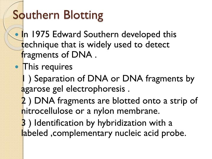 PPT - BLOTTING TECHNIQUES PowerPoint Presentation - ID:7123099