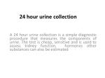 PPT - RENAL FUNCTION TESTS PowerPoint Presentation - ID:7123135