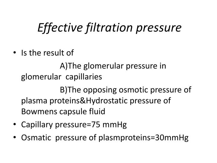 PPT - RENAL FUNCTION TESTS PowerPoint Presentation - ID:7123135